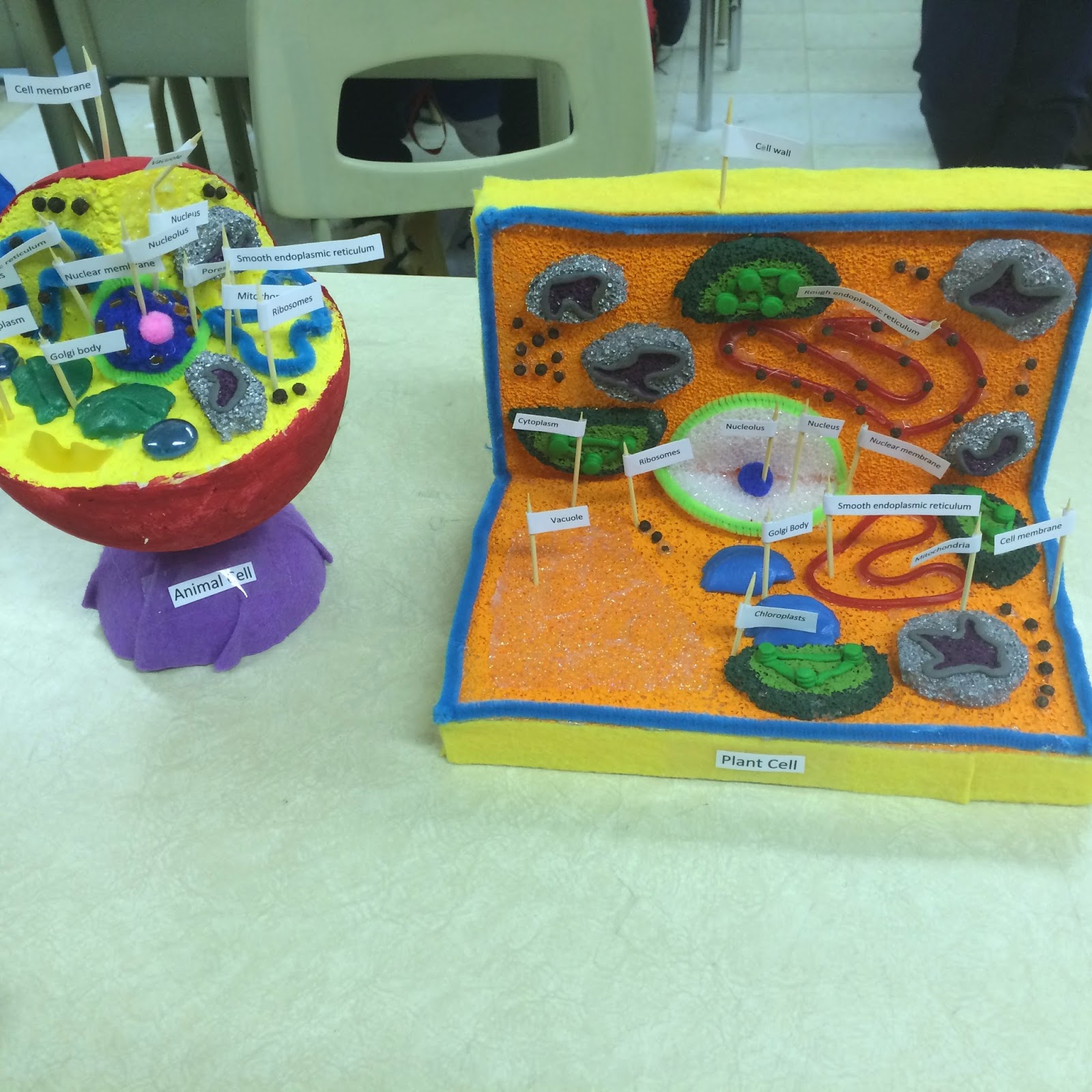 Our Lady of Peace F/I Intermediate Classrooms: Grade 8 science 3D cell ...