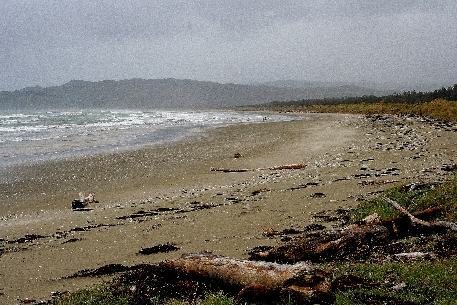 The Flying Tortoise: Brando Yelavich Continues His Epic Journey To ...