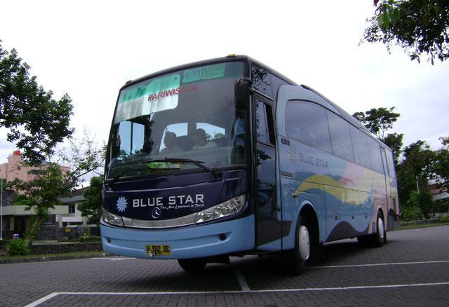 armada bus blue star ~ Armada Bus