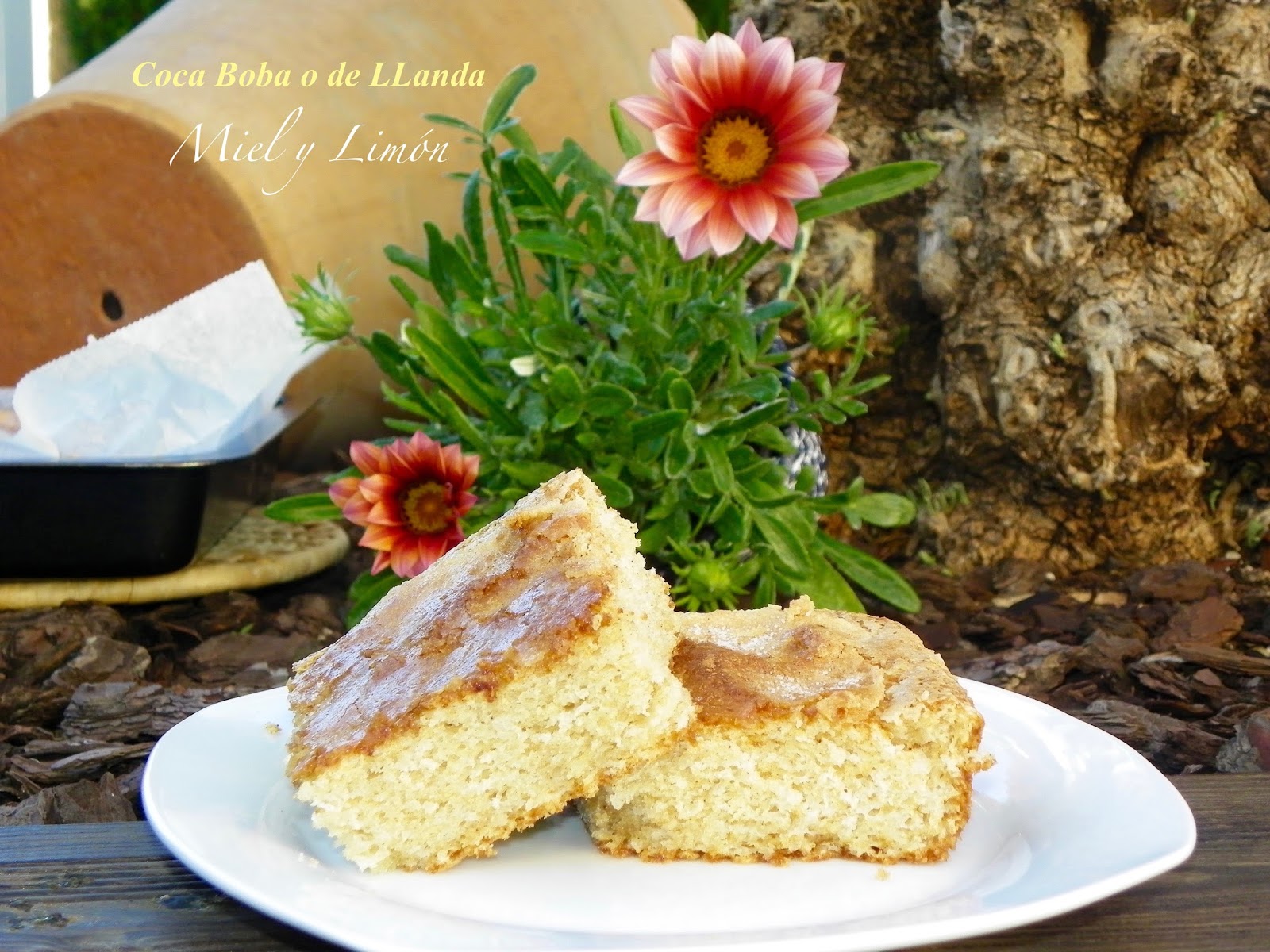 Miel y Limón Recetas: COCA BOBA O DE LLANDA