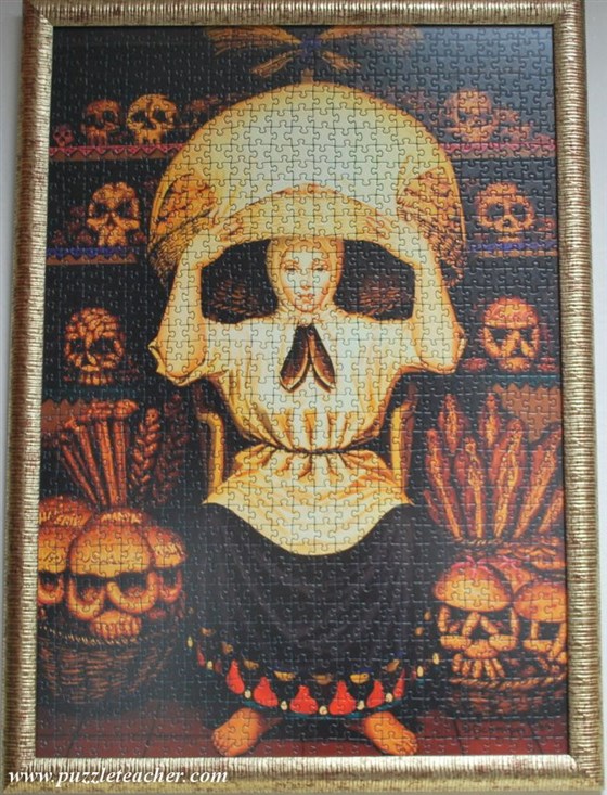 Heye Puzzle ''Double Vision'' 1000 Parça | Puzzle Teacher