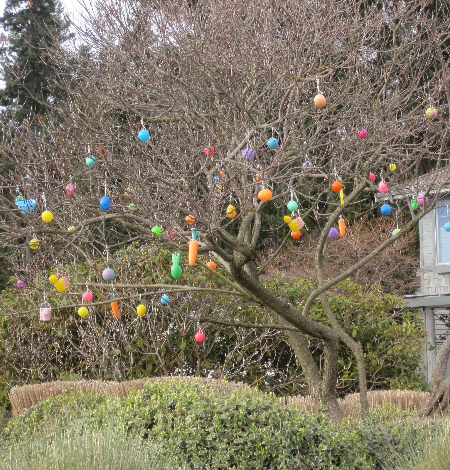 Pieceful Afternoon: The Rest of Birch Bay on My Birthday
