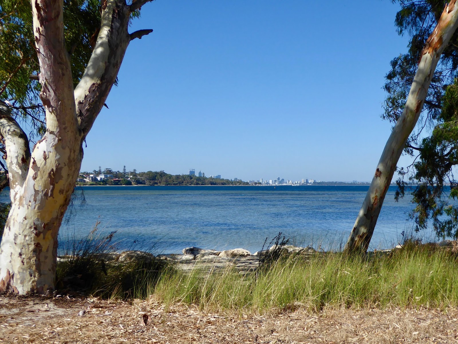 Wide Beam - Still Rockin': Point Walter ...