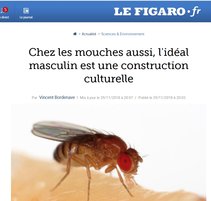 Pisando charcos: Moscas, periquitos y la Ciencia