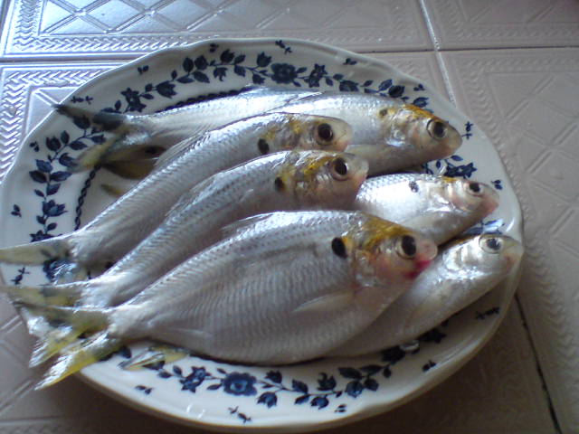 Cooking Pleasure: Fried Fish [Bok Kok]