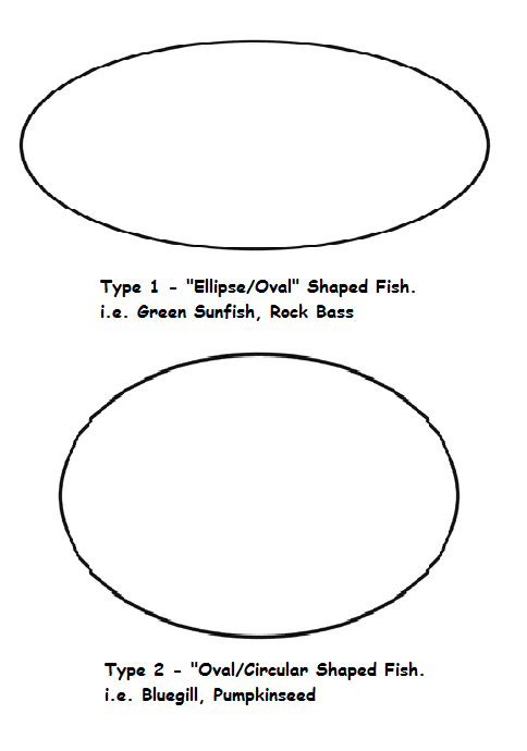 Extreme Philly Fishing: Be a "Sunfish Expert:" A Simple Guide for ...
