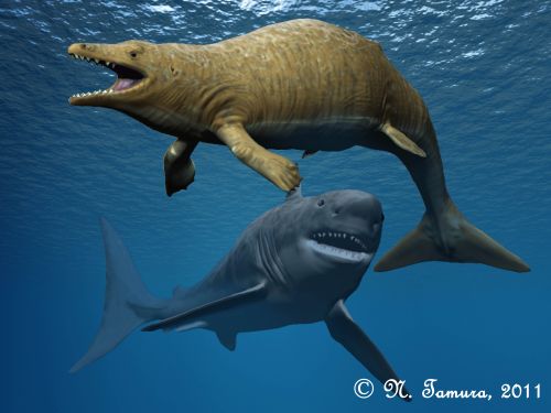 Paleoexhibit: Aegyptocetus tarfa