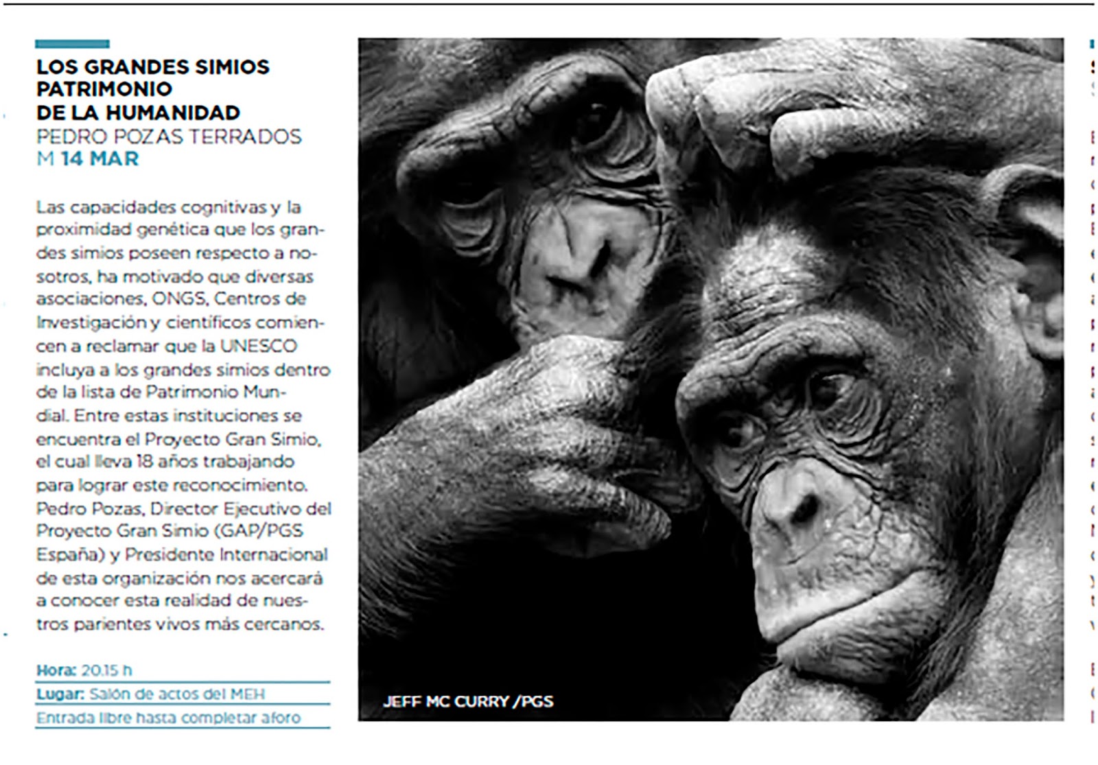 GRANDES SIMIOS PATRIMONIOS VIVOS DE LA HUMANIDAD: PROYECTO GRAN SIMIO ...