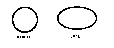 Study English: Vocabulary Part of Body And Shapes