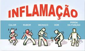 Visão Geral da Inflamação