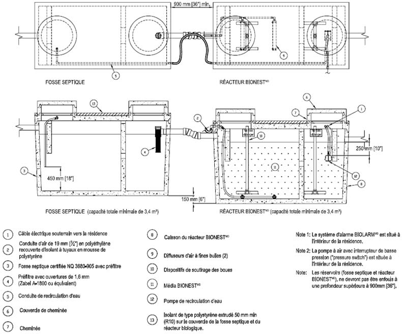 Les Faînes: Bionest