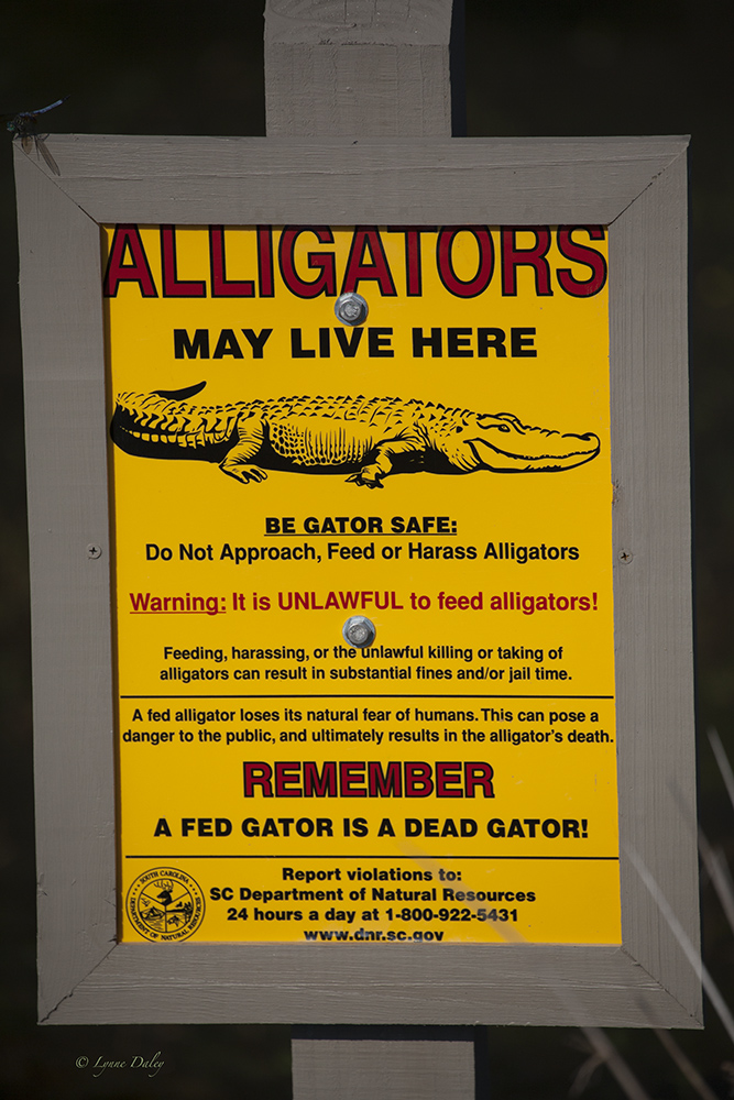 Photo-per-Diem-A Photography Blog