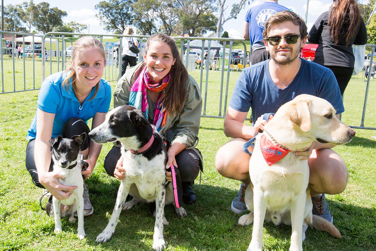 Pawsitive Steps The Hills 2017 - August 27 | Australian Dog Lover