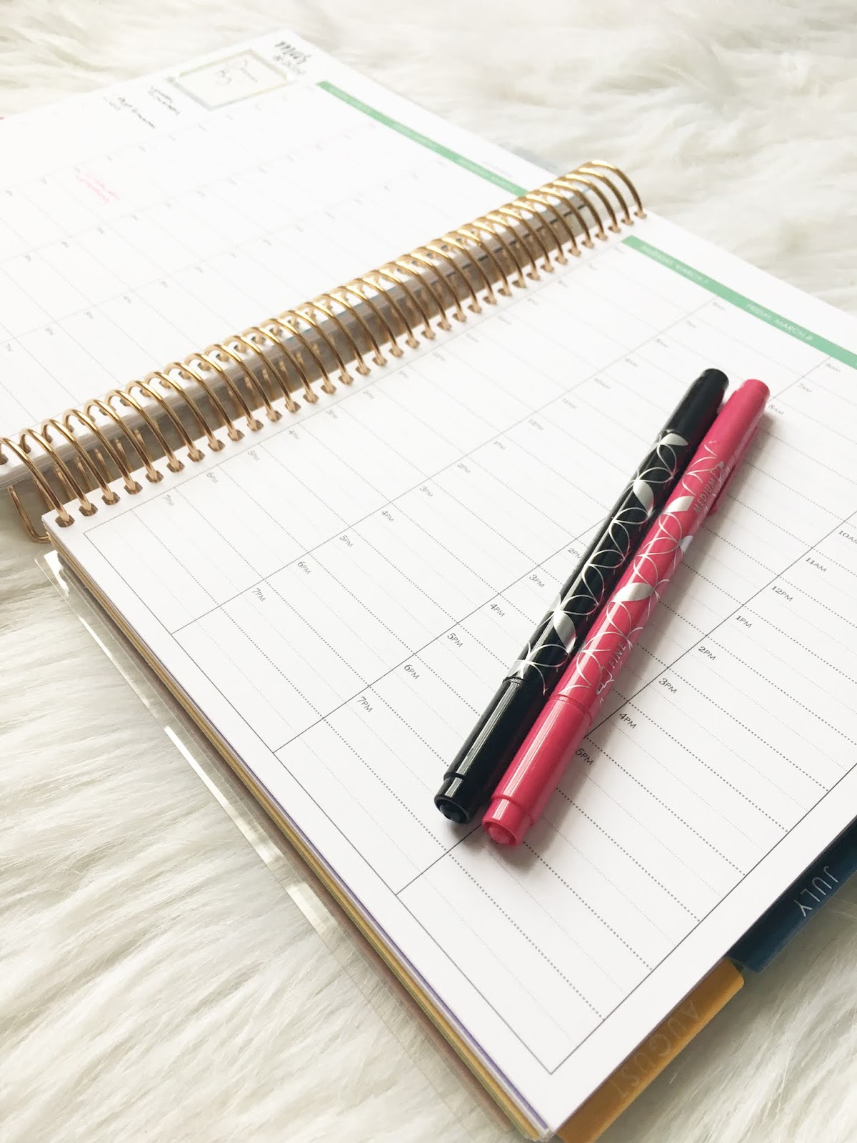 Erin Condren LifePlanner Review - Simply Tasheena