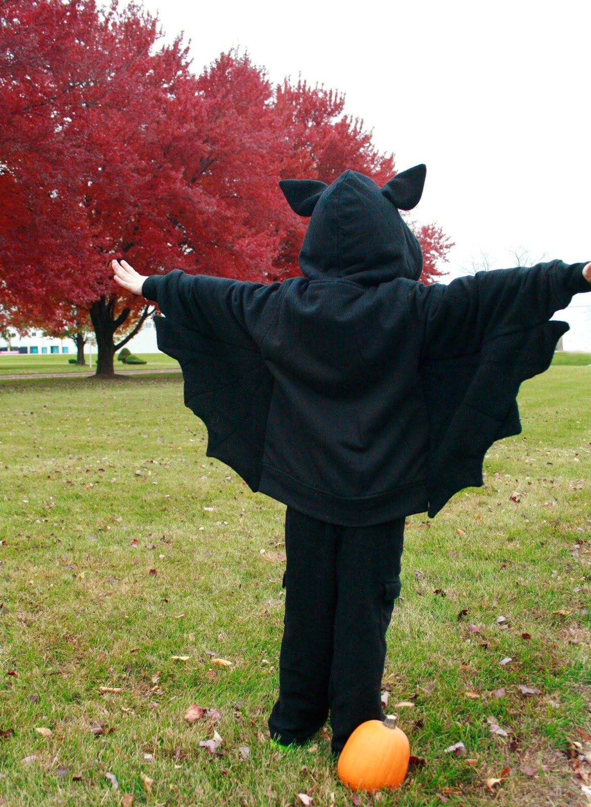 The Dieter Family: Halloween Bat Costume