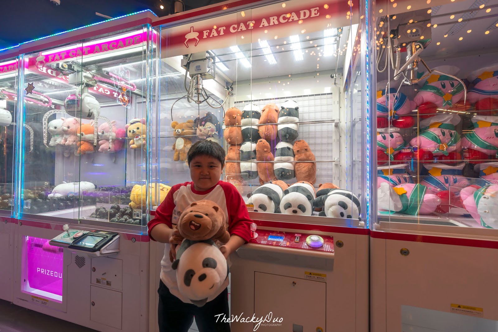 Fat Cat Arcade Somerset 313 Review : Arcade fun for everyone! | The ...
