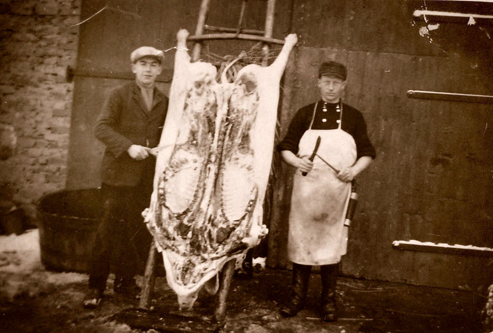 In der Mitte von Österreich ist das Stodertal: Wenn ein Schwein ...