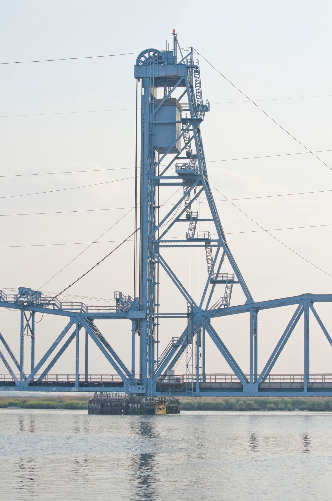 Urban Wildlife Guide: Hackensack River Ride