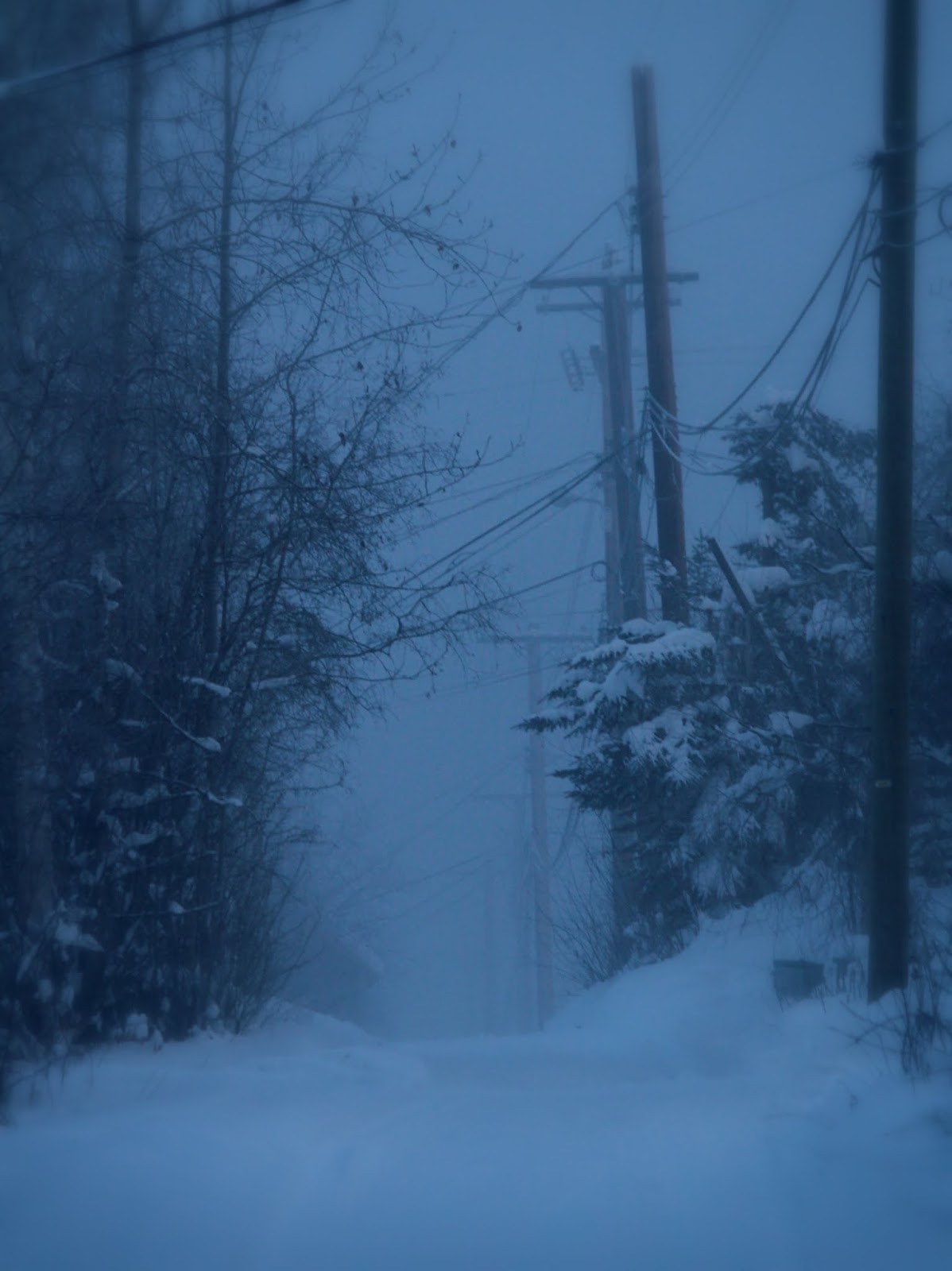 dawson-city-journal-minus-45
