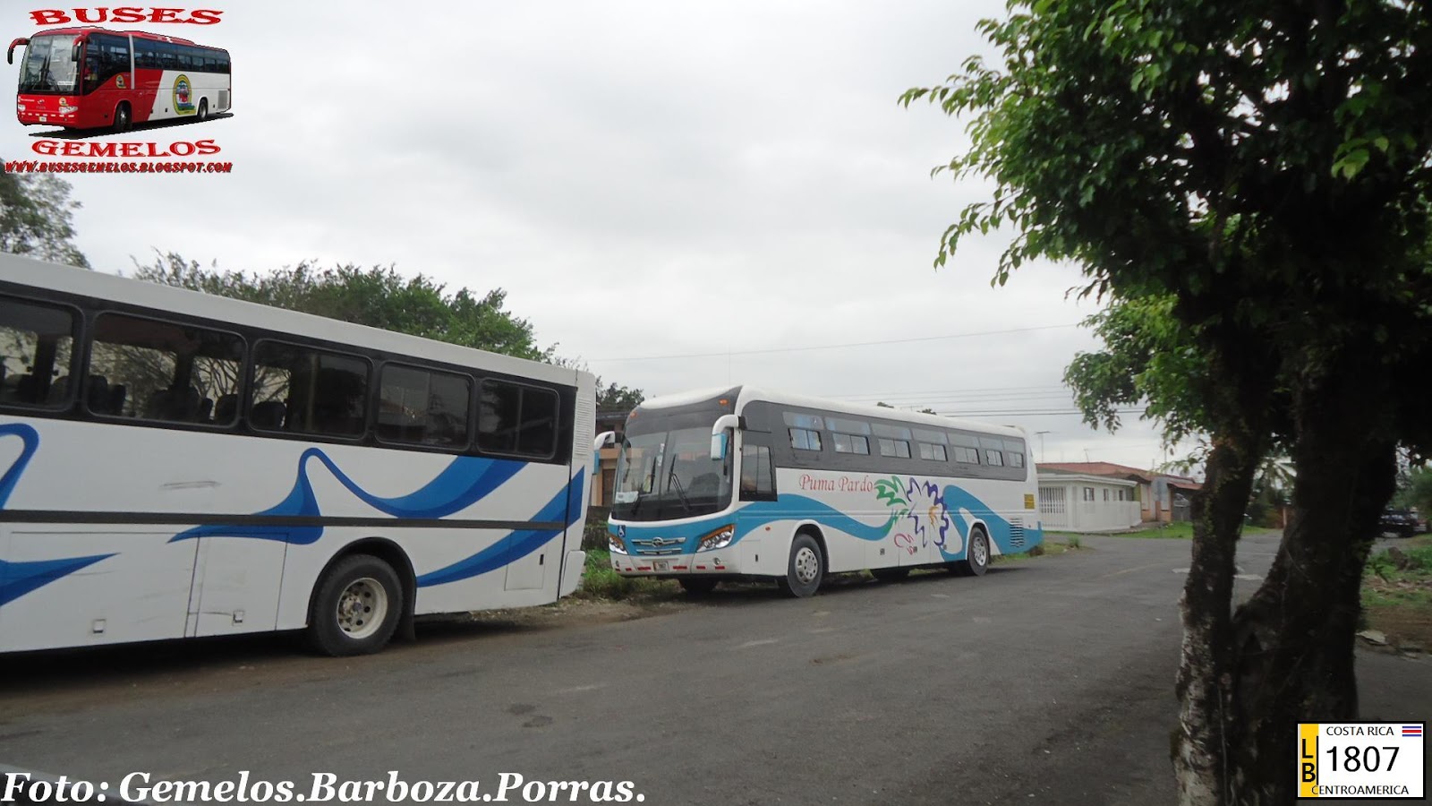 Buses Gemelos: julio 2013