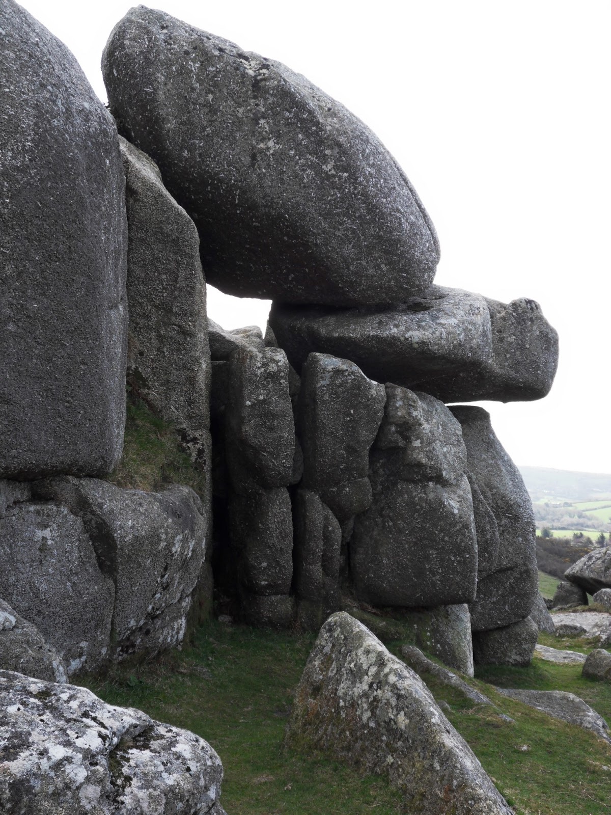67 Not Out: The Granite Dinosaur And Turtle Guarding Helman Tor Cornwall
