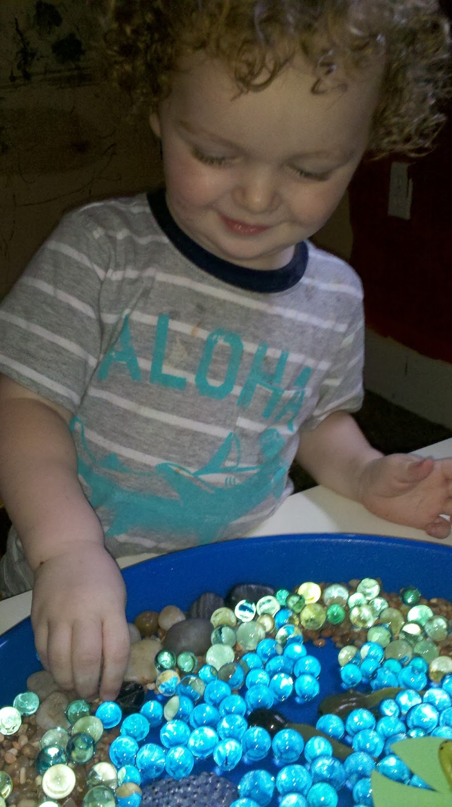 Munchkin and Bean: The Life Cycle of a Frog