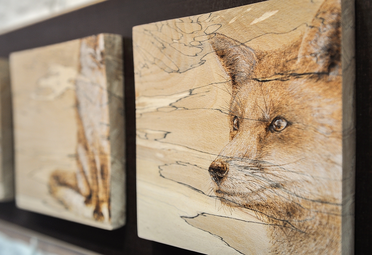 Design Stack: A Blog about Art, Design and Architecture: Animal ...