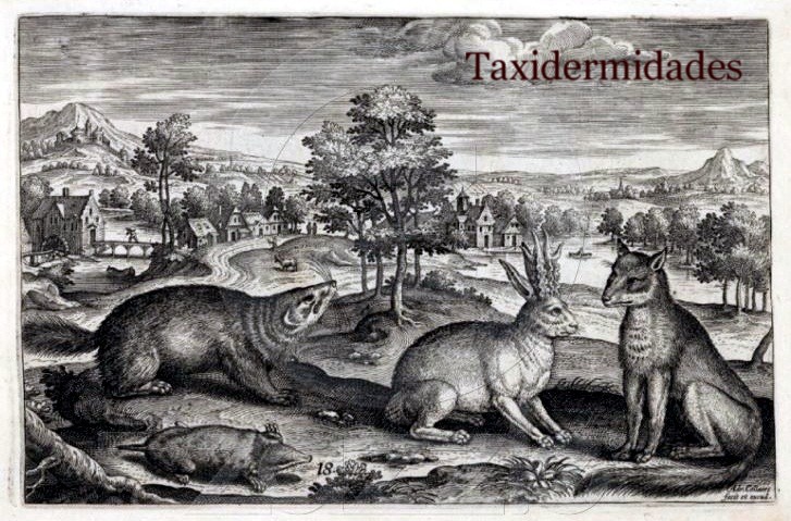 El "jackalope", "Wolpertinger" o lebrílope. | Taxidermidades