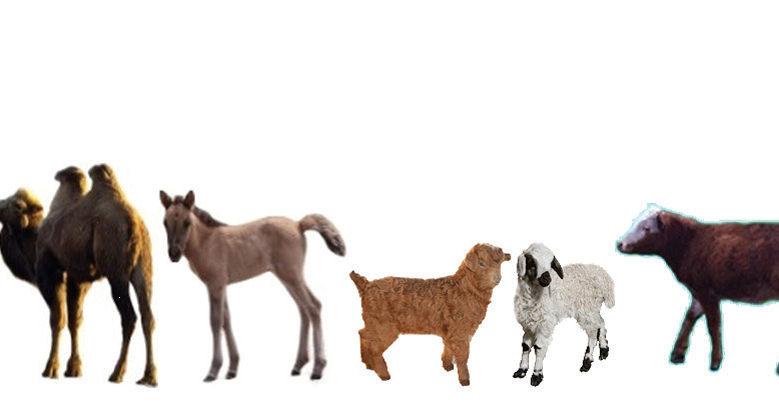 8-р анги "Зураг боловсруулах технологи": ТӨМ 1.1