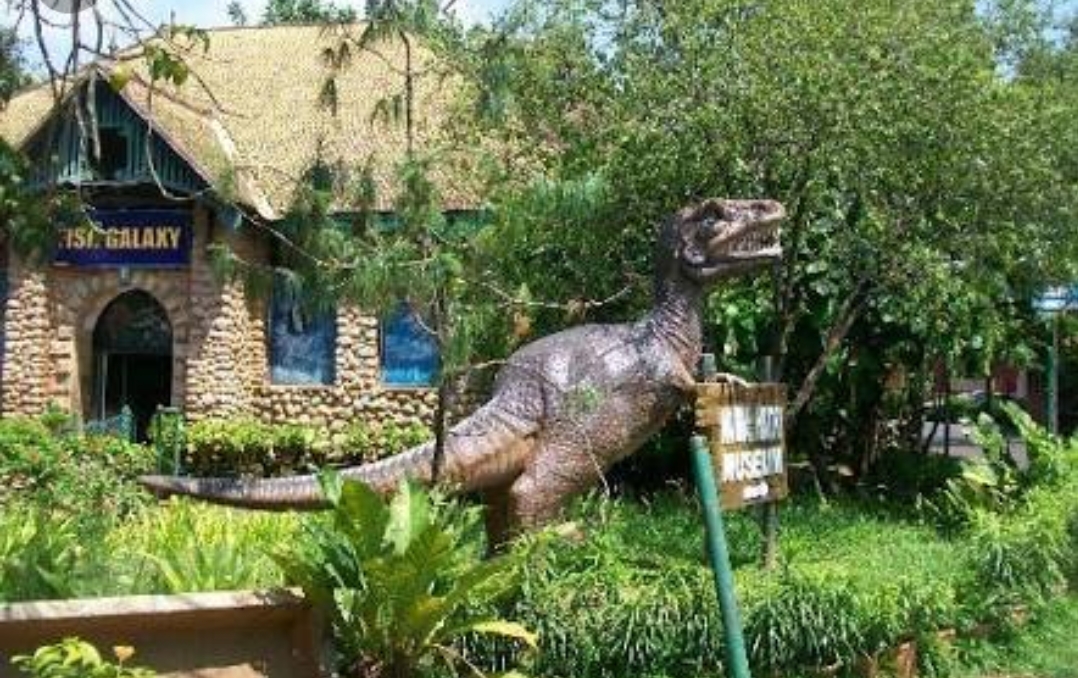 Thiruvananthapuram Zoo is one of the oldest zoos in India - T4riders