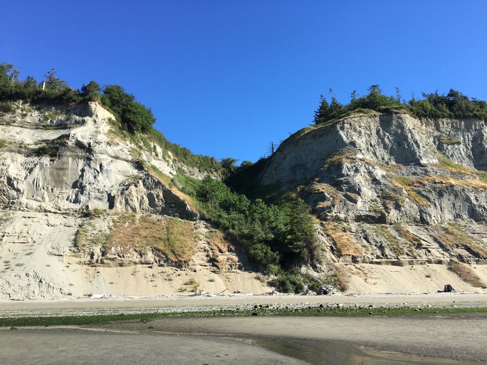 Gravel Beach: Double Bluff