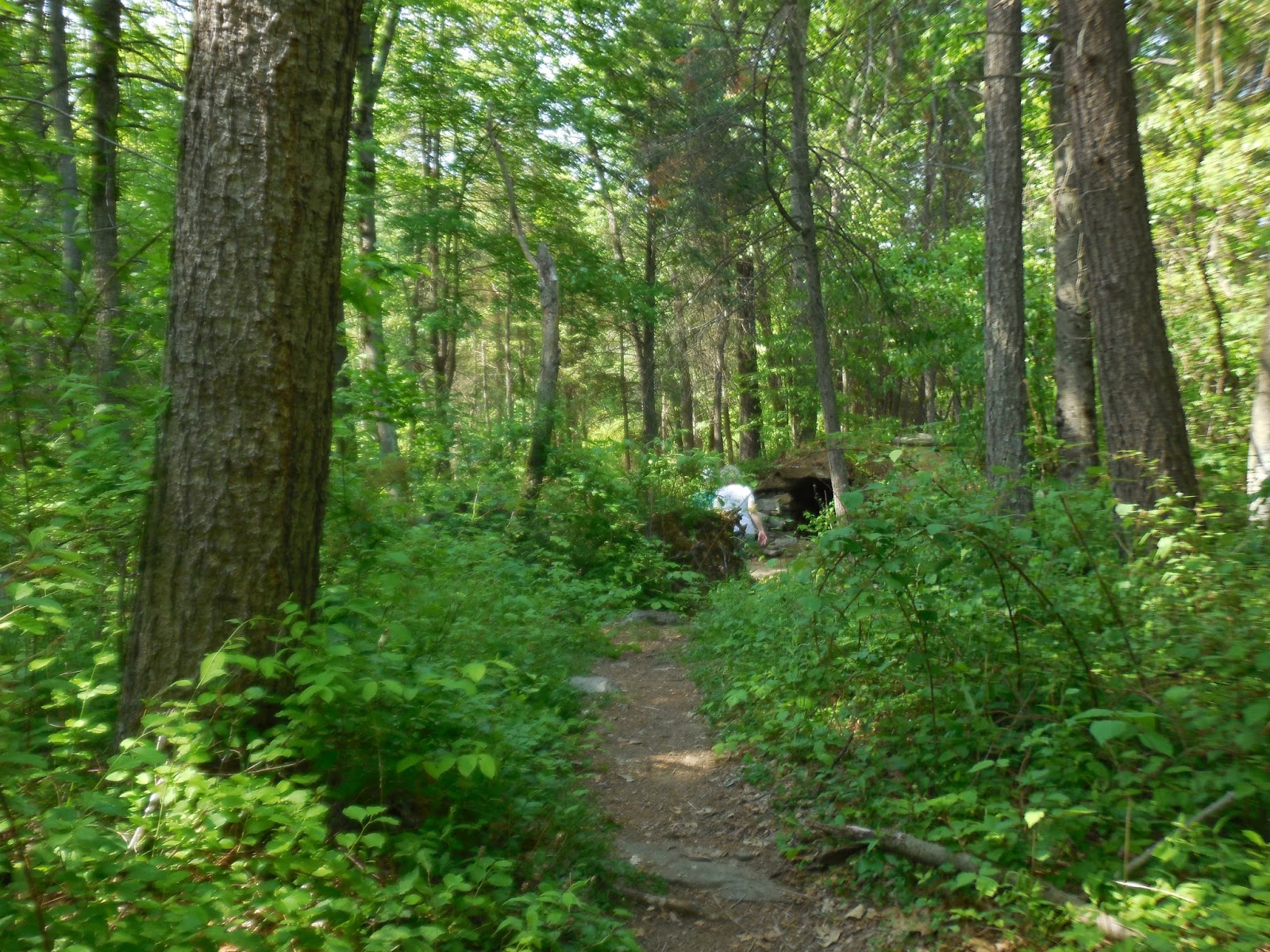 Home Spun Juggling: The Carnival of Homeschooling: It's the Journey Edition