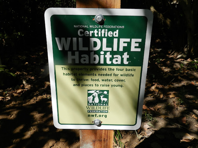 World Peace Wetland Prairie: New National Wildlife Federation habitat ...