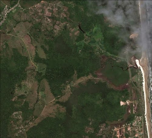 Acorda Meu Povo: Cadê a Mata Atlântica em Ilhéus?