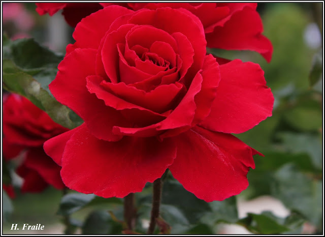 H. Fraile: octubre 2012