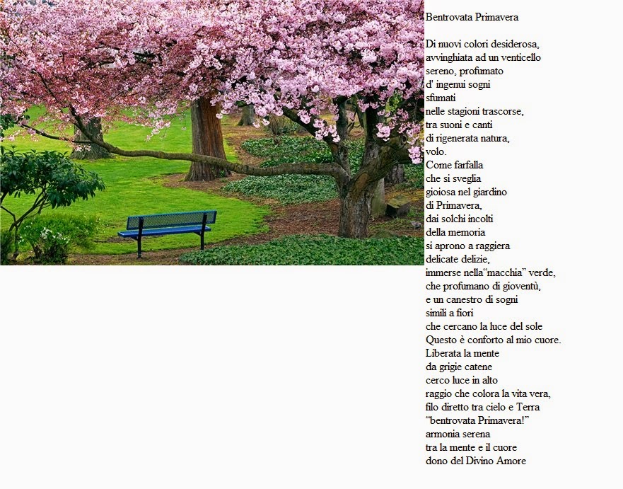 NERO SU BIANCO di Maria Antonietta : Poesia...un benvenuto alla Primavera..