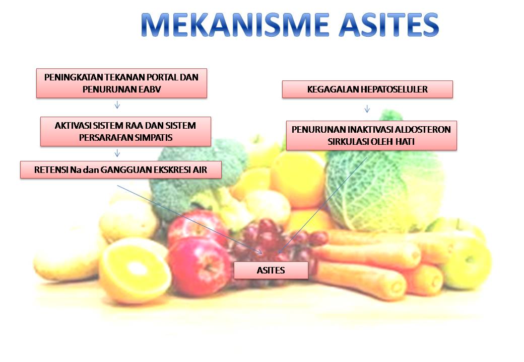 ASKEP ASITES DAN PARASENTESIS ABDOMEN (PUNGSI ASITES) | DUNIA KEPERAWATAN