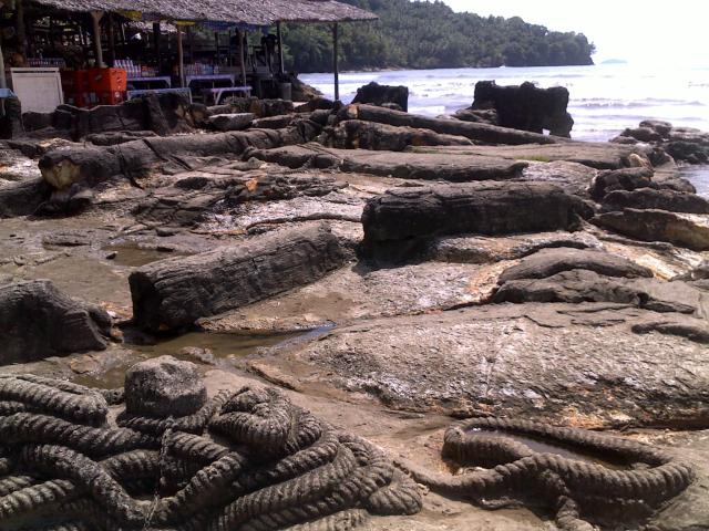 supir terbaik di padang bukit tinggi -Feedback dari Puan Rafeah Klang ...