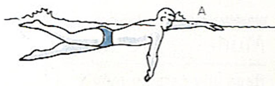 Estilos de natación: ESTILO CROL.