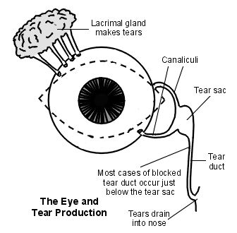 Lacrimal Syringing - How and why its done ~ Friendly Doc