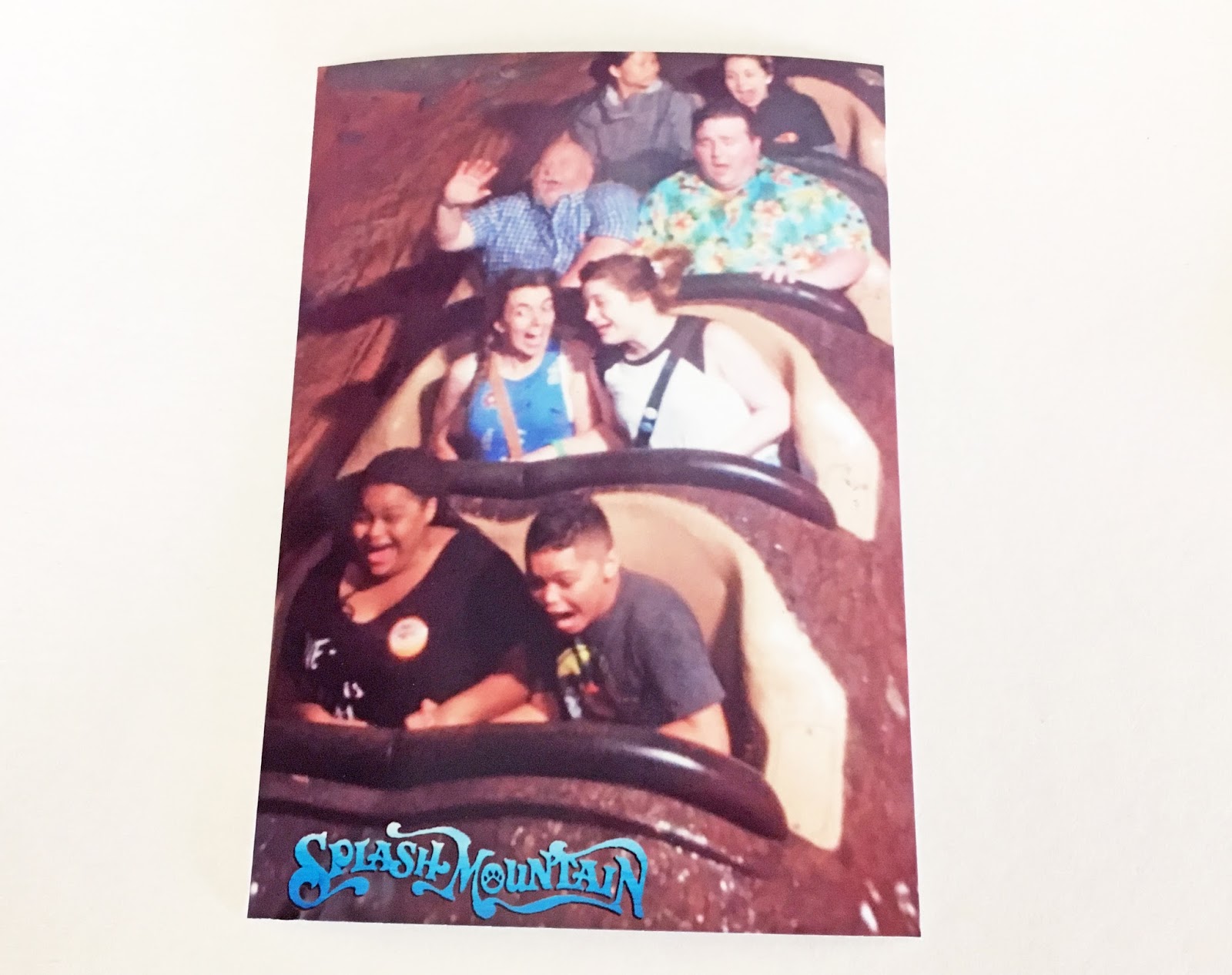 Littlebits by Emily Collette: Splash Mountain Briar Patch Frames