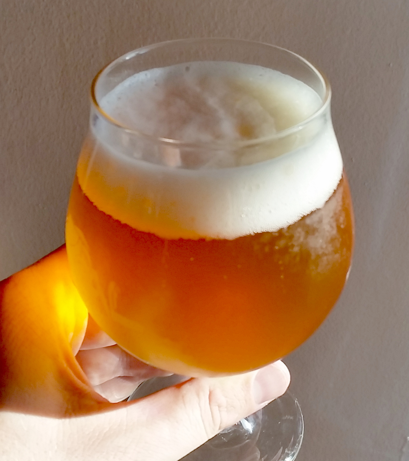 Andy's Brewing Blog: Beer Tasting: Citra Blonde Ale
