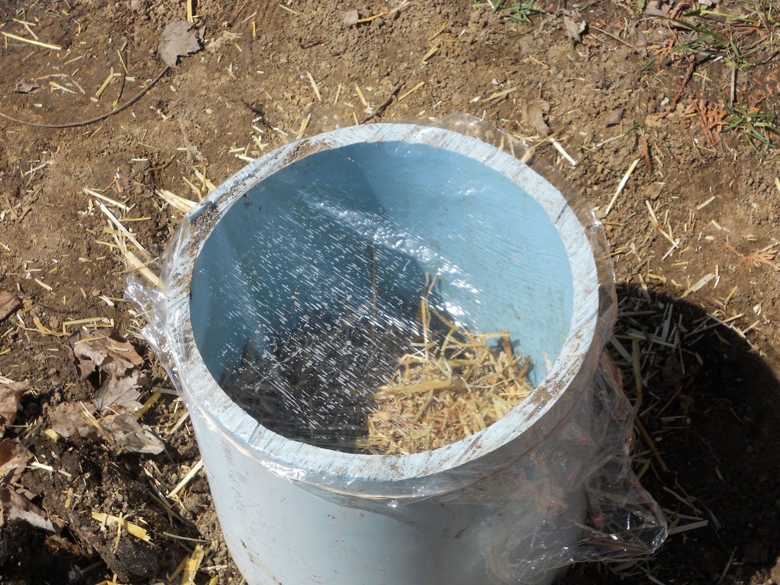 Learning Out Loud: Worm Tunnel
