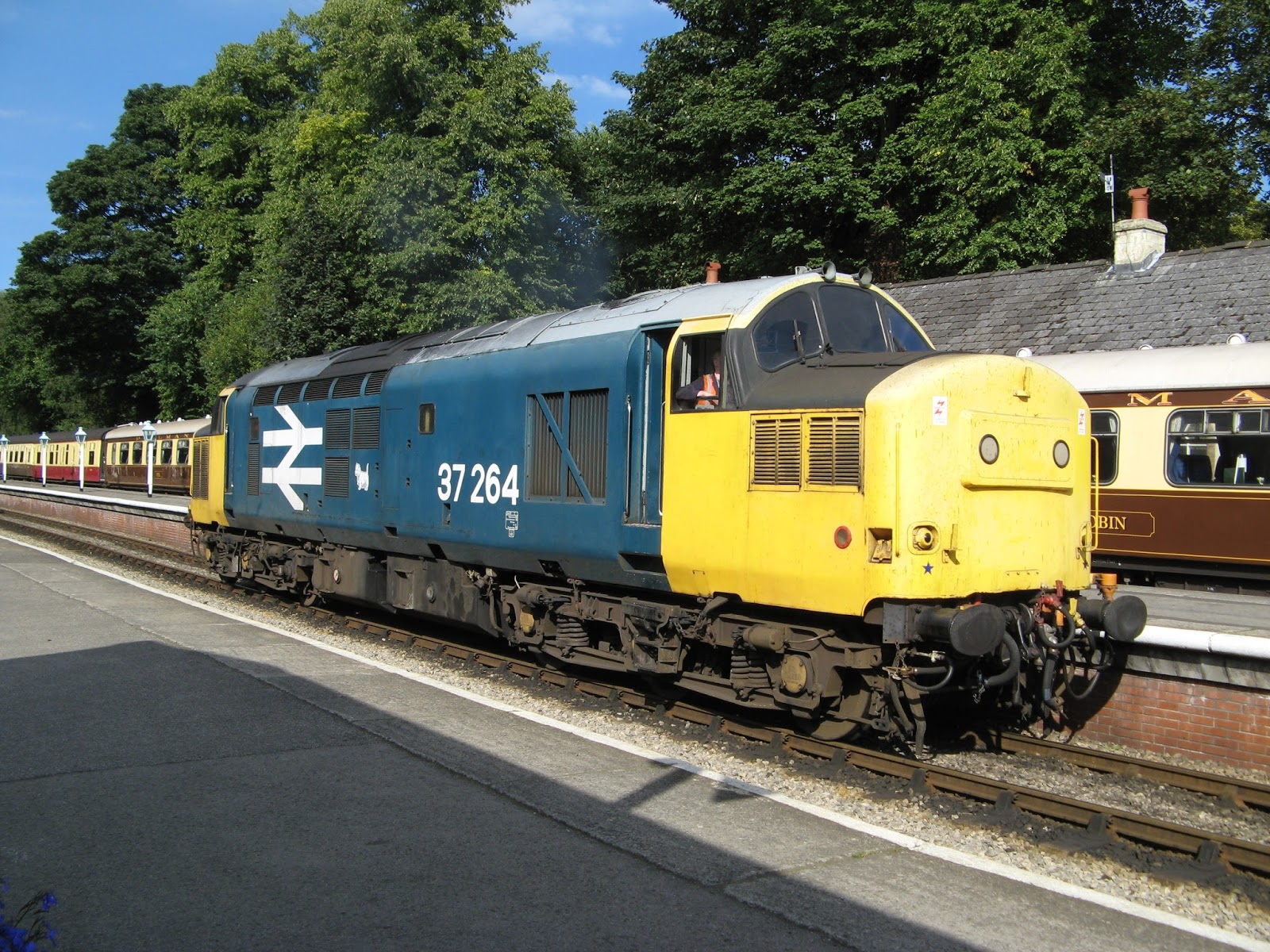Steam Memories: Class 37 Diesel electric locomotives
