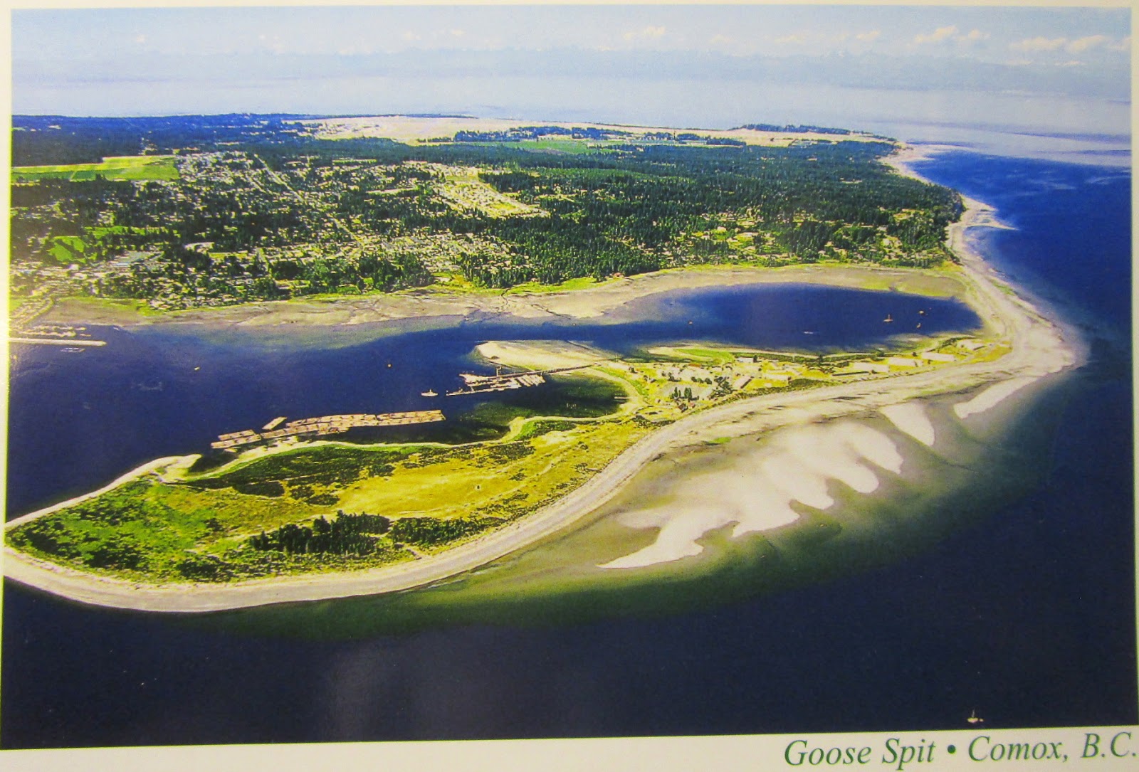 1000 Men, 1000 Stories : Photographs: "The Spit" at Comox, Vancouver ...