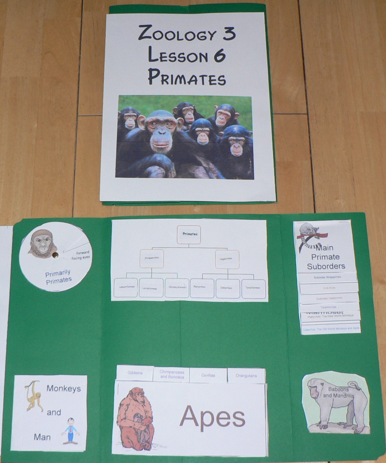 Walking by the Way: Our Zoo 3 Lapbooks by A Journey Through Learning