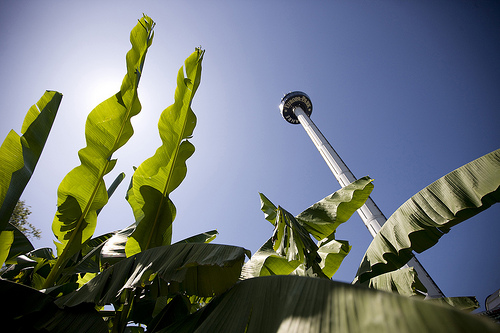 Backpacker Girls: Europa Park-One Thrilling day!