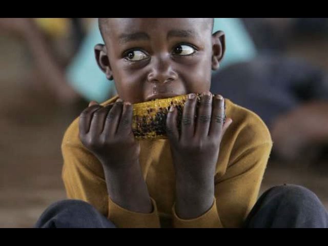 FAIM MONDE ET O.M.D: Les formes de la faim