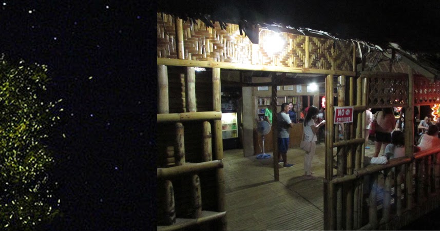 Firefly Watching In Abatan River, Bohol Philippines - Tips and Treats
