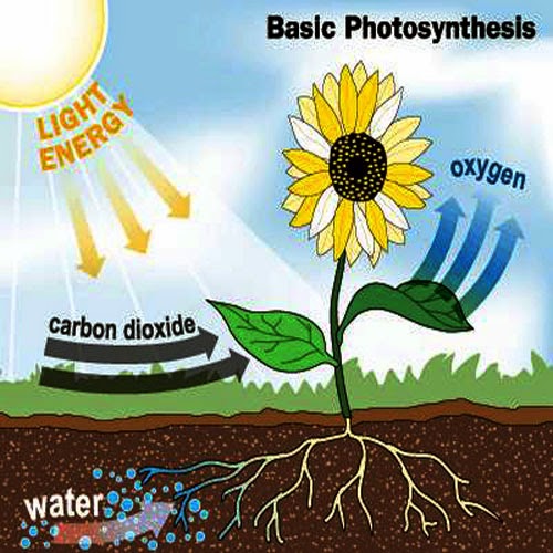Gule Rampoe (Campur-Campur): Penjelasan Pendidikan Berkarakter dalam ...